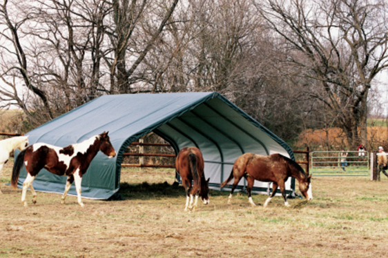 ShelterLogic: Your #1 Shelter Logic Canopy & Shed Dealer