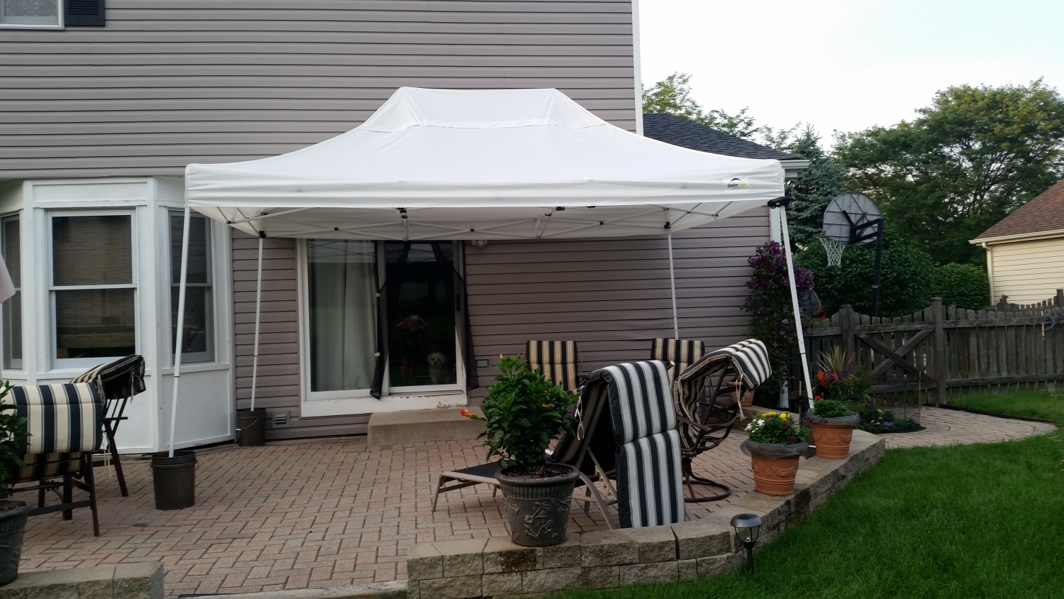 ShelterLogic: Your #1 Shelter Logic Canopy & Shed Dealer