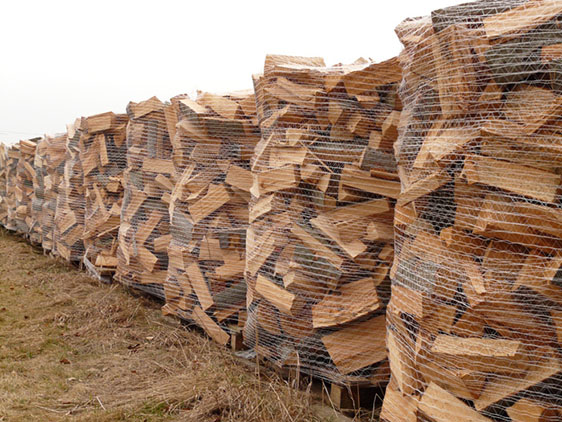 3 Bad Types Of Firewood and How To Spot Them Easily